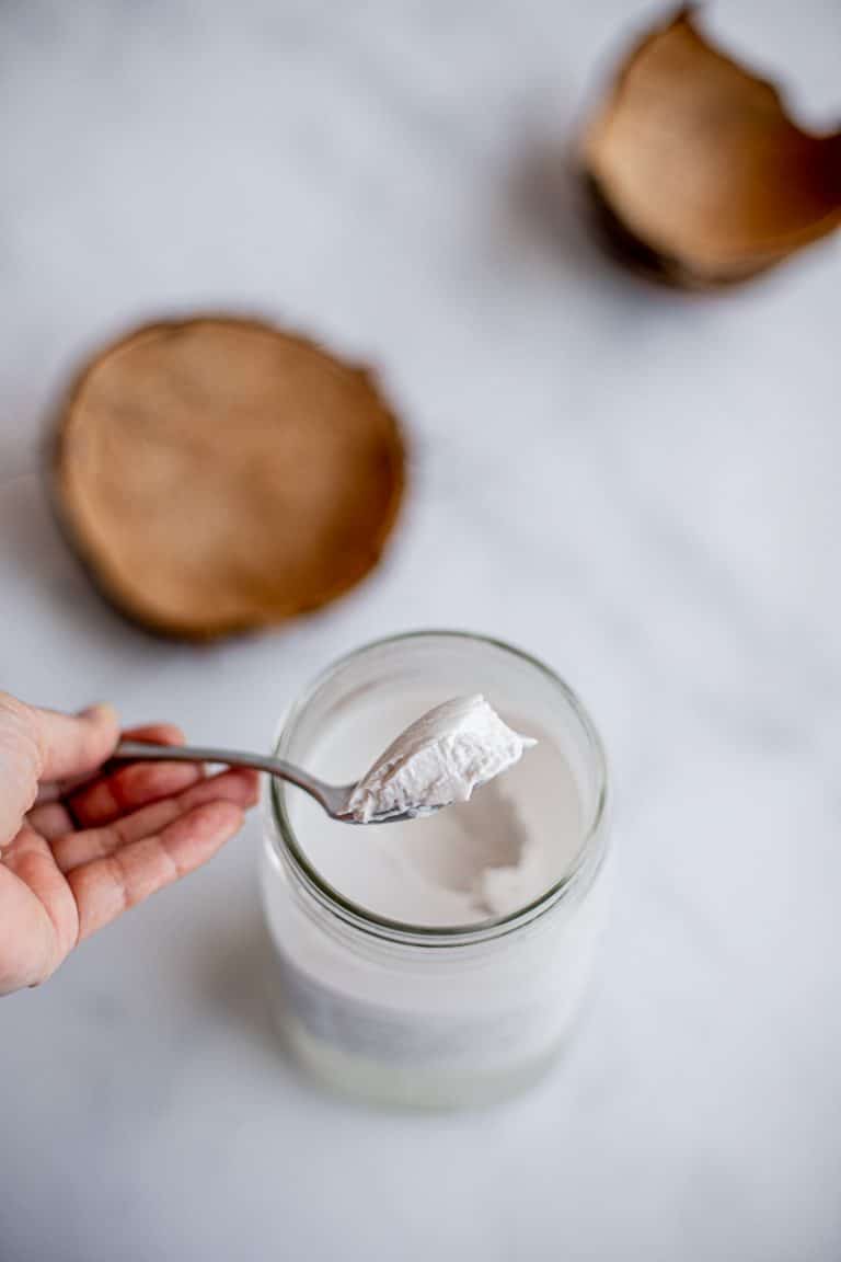 How to Make Homemade Coconut Milk with Fresh or Shredded Coconut ...