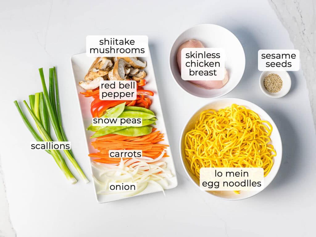 The Best Chicken Lo Mein - Drive Me Hungry