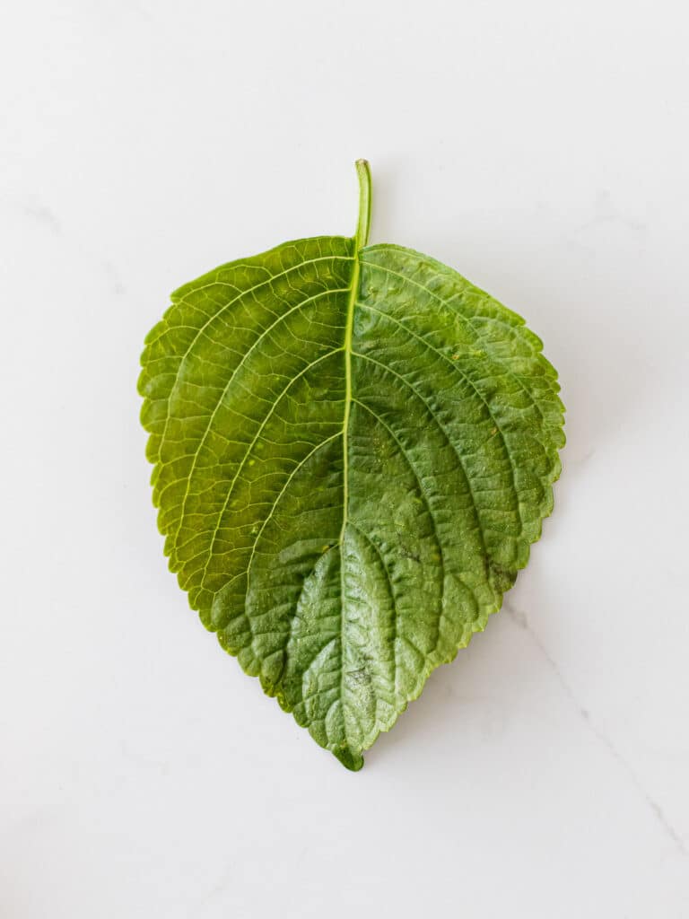 Korean Perilla Leaf Kimchi - Drive Me Hungry