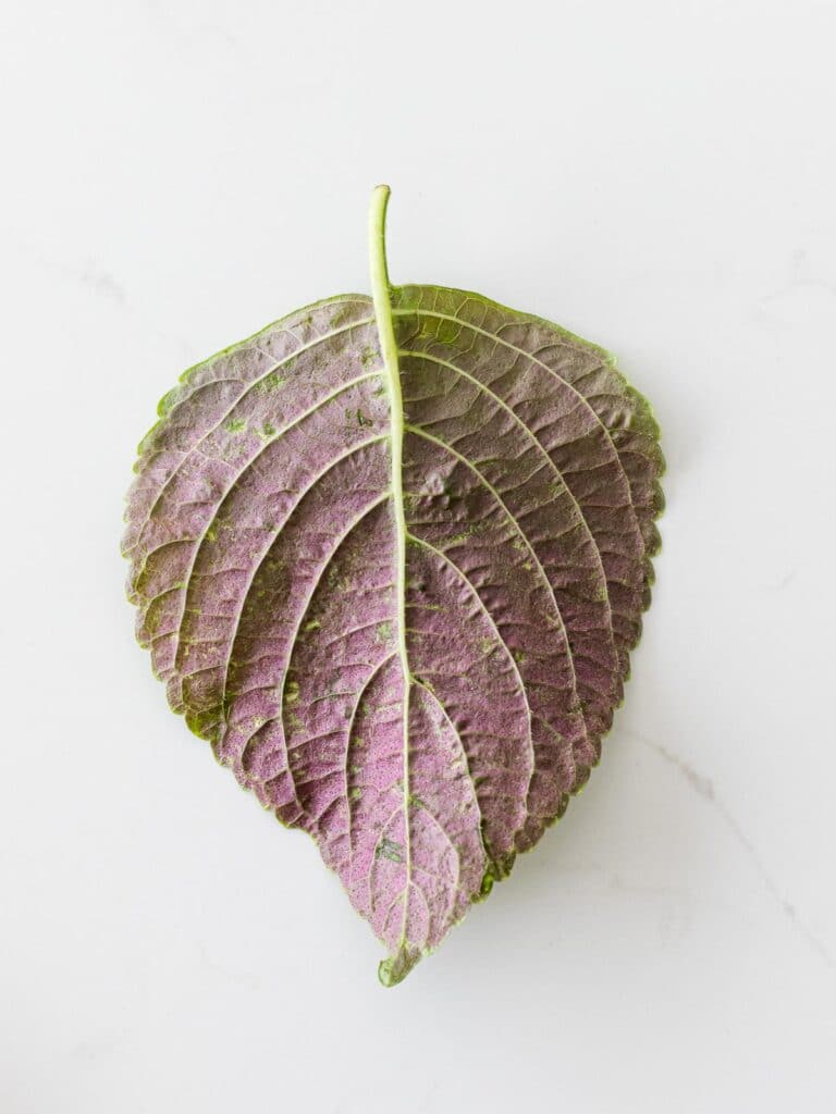 Korean Perilla Leaf Kimchi - Drive Me Hungry