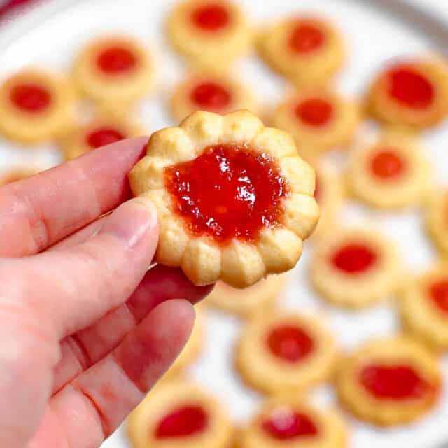 Christmas Spritz Cookies - Drive Me Hungry