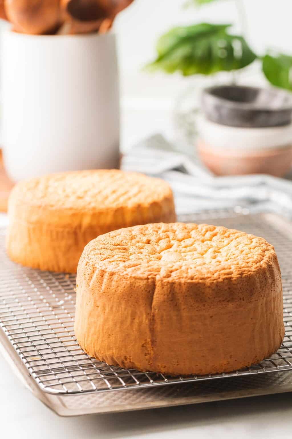 Easy Sponge Cake - Drive Me Hungry