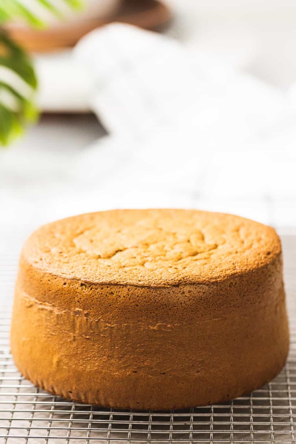 Matcha Cake (Green Tea Cake) - Drive Me Hungry