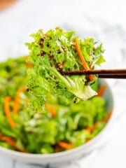 Korean Lettuce Salad (Sangchu Geotjeori) - Drive Me Hungry